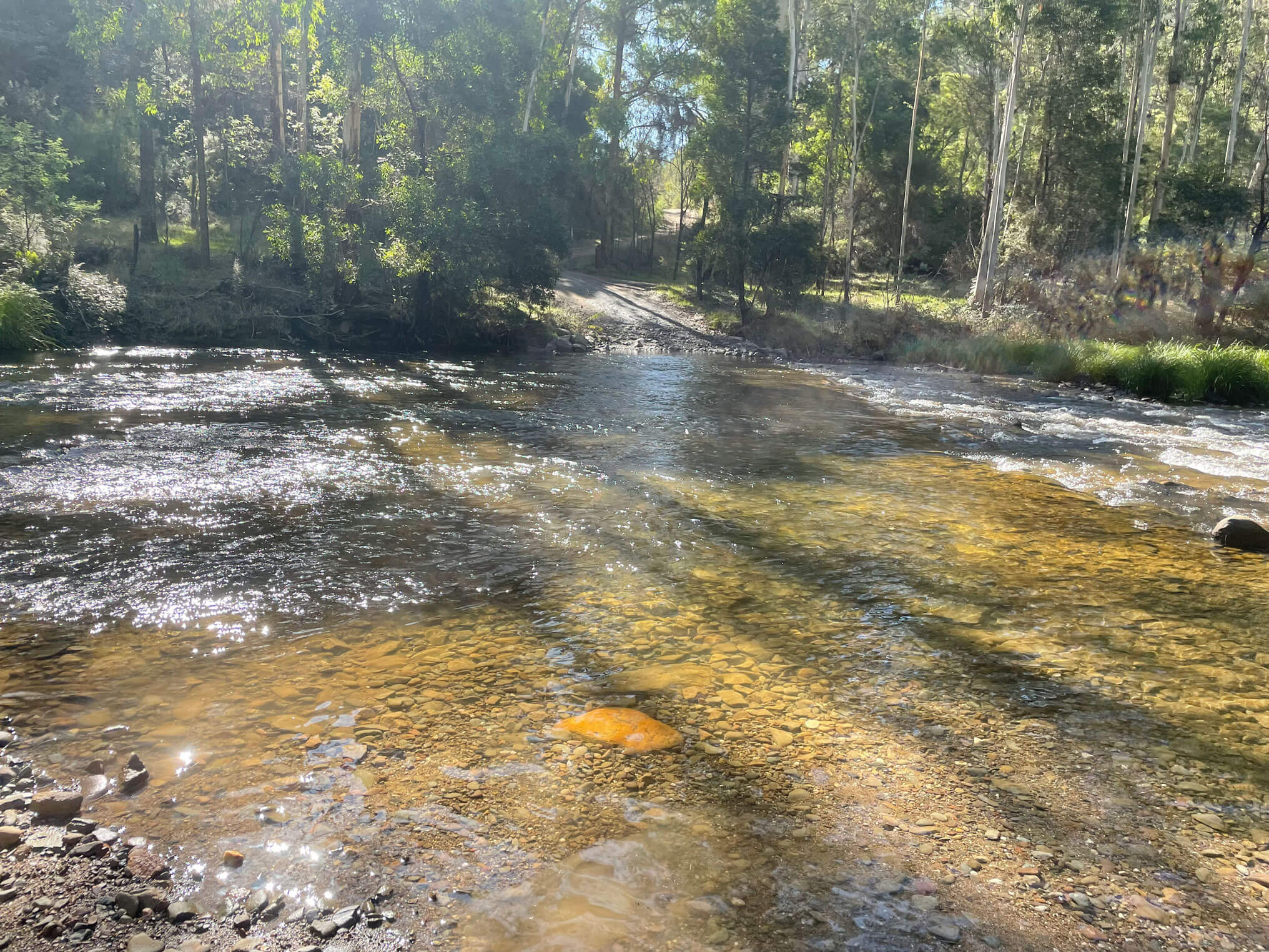 Camp Flat - Buckland Valley - CampByMe