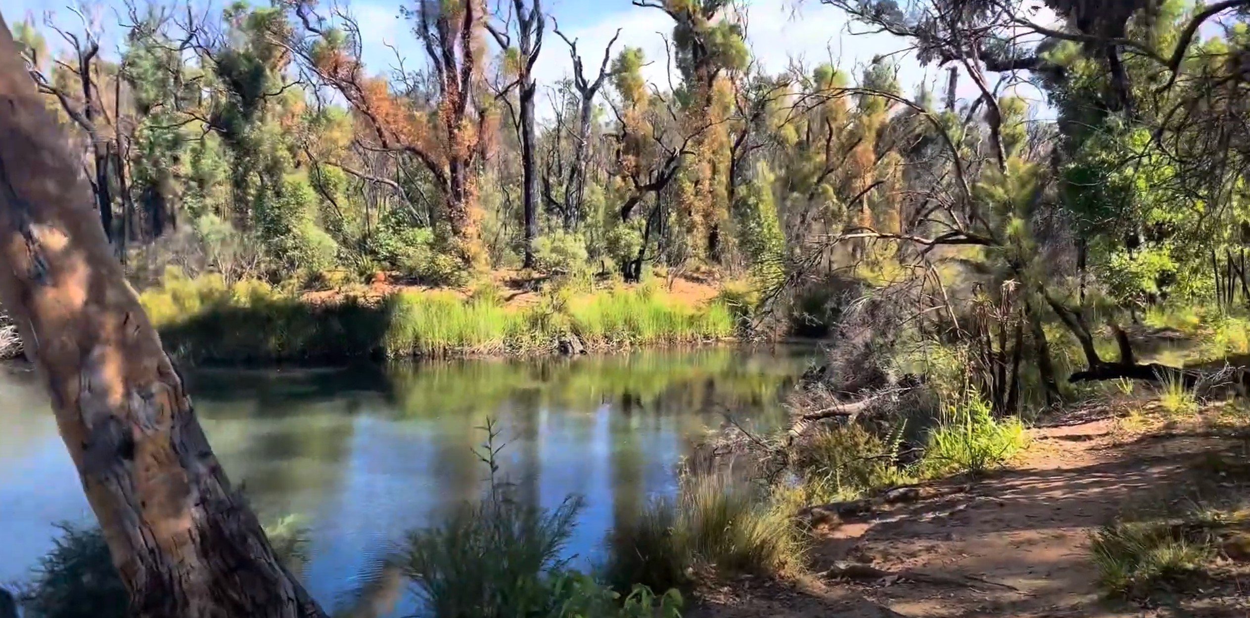 Canebrake Pool Campground - Western Australia - CampByMe